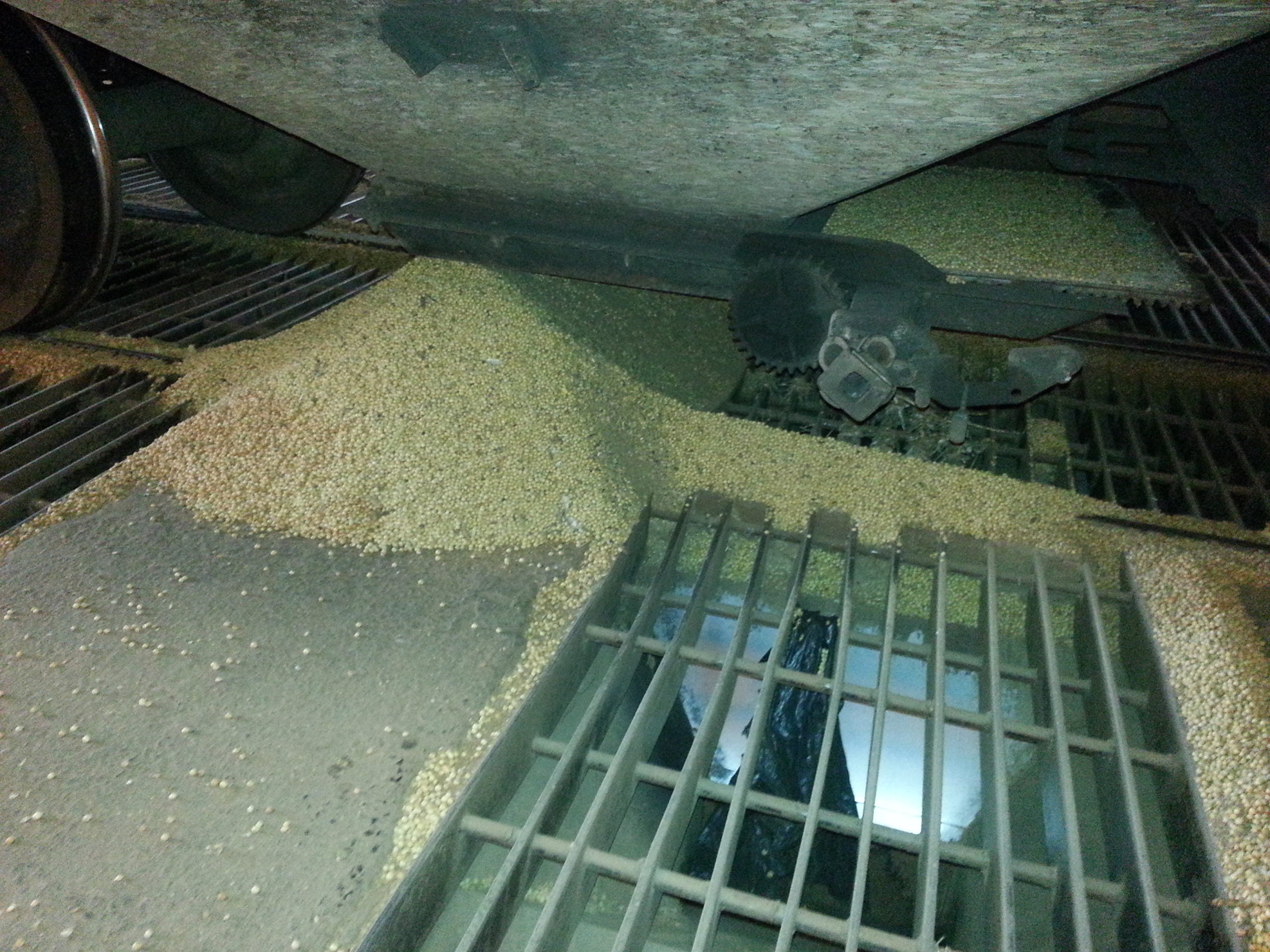 Projetos - Wings Ltda